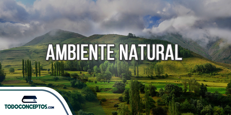 Ambiente Natural 】 ★ ¿Qué es? Concepto y Acepciones ★